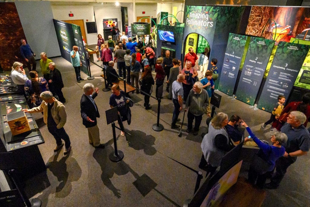 Amazing Pollinators - Go pollinate!