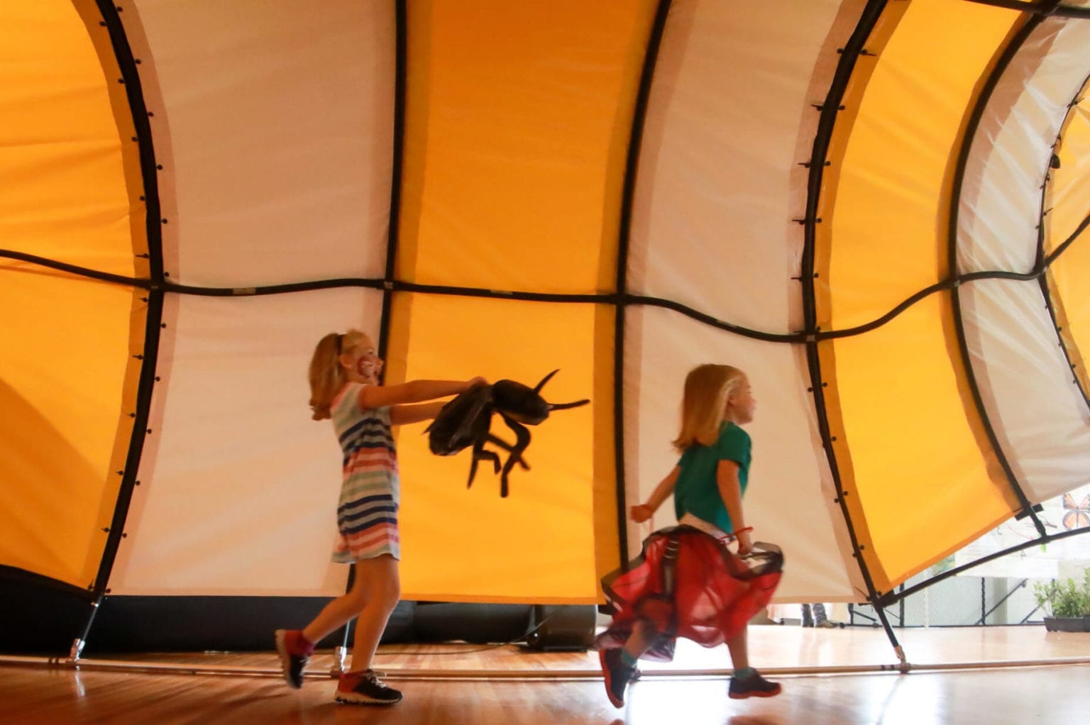 Amazing Butterflies - Take flight with this exhibition!