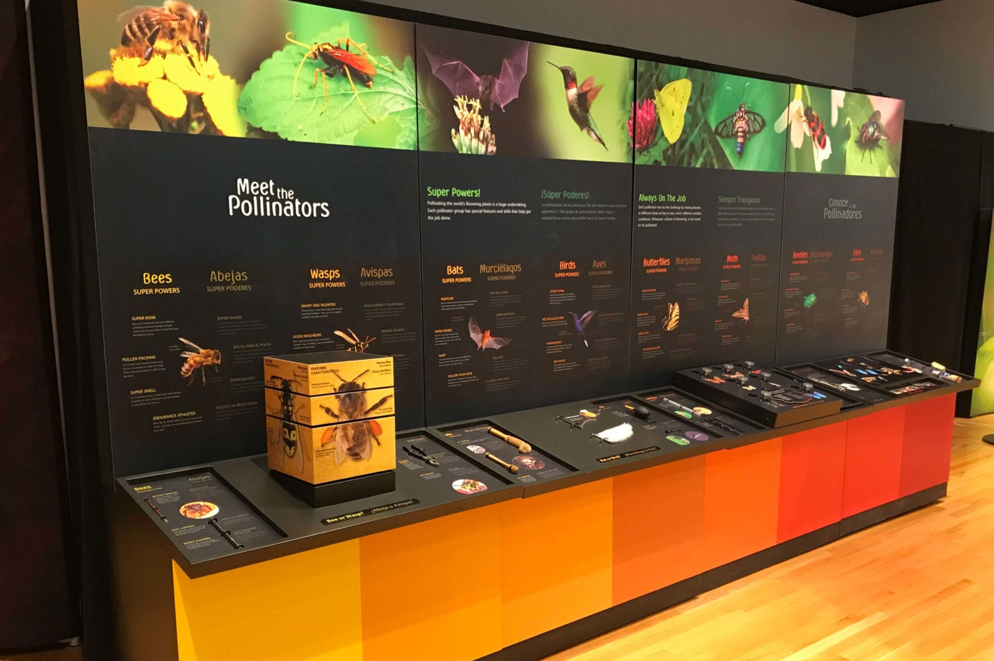 Amazing Pollinators - Go pollinate!