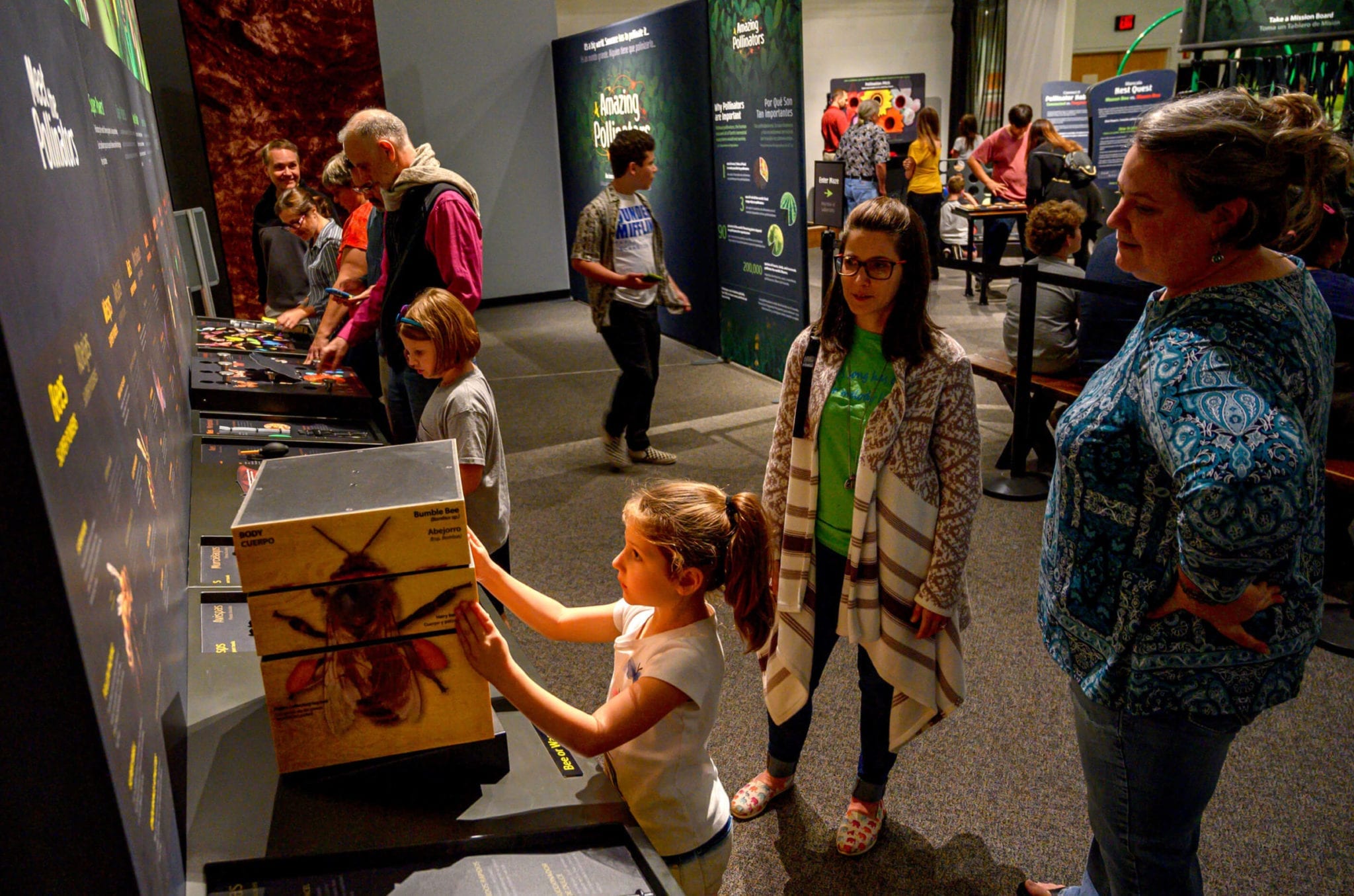 Amazing Pollinators - Go pollinate!