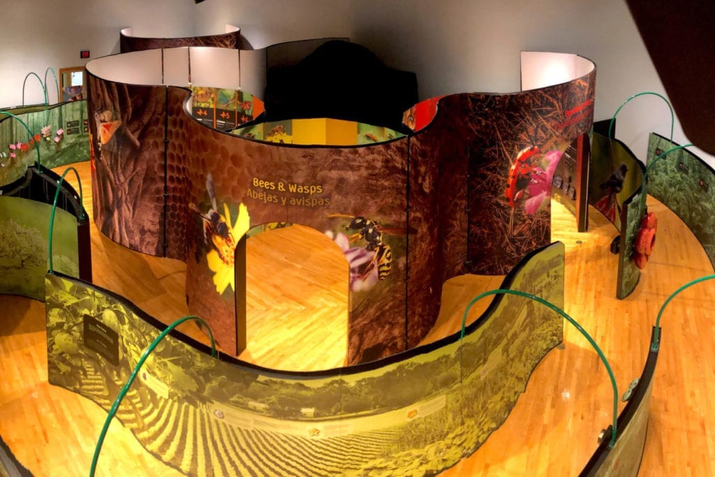 Amazing Pollinators - Go pollinate!