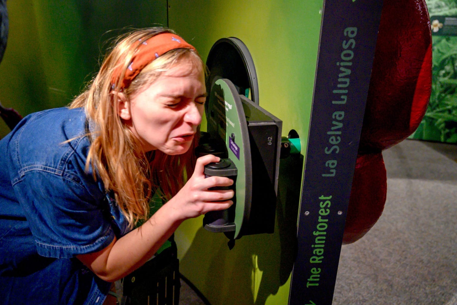 Amazing Pollinators - Go pollinate!