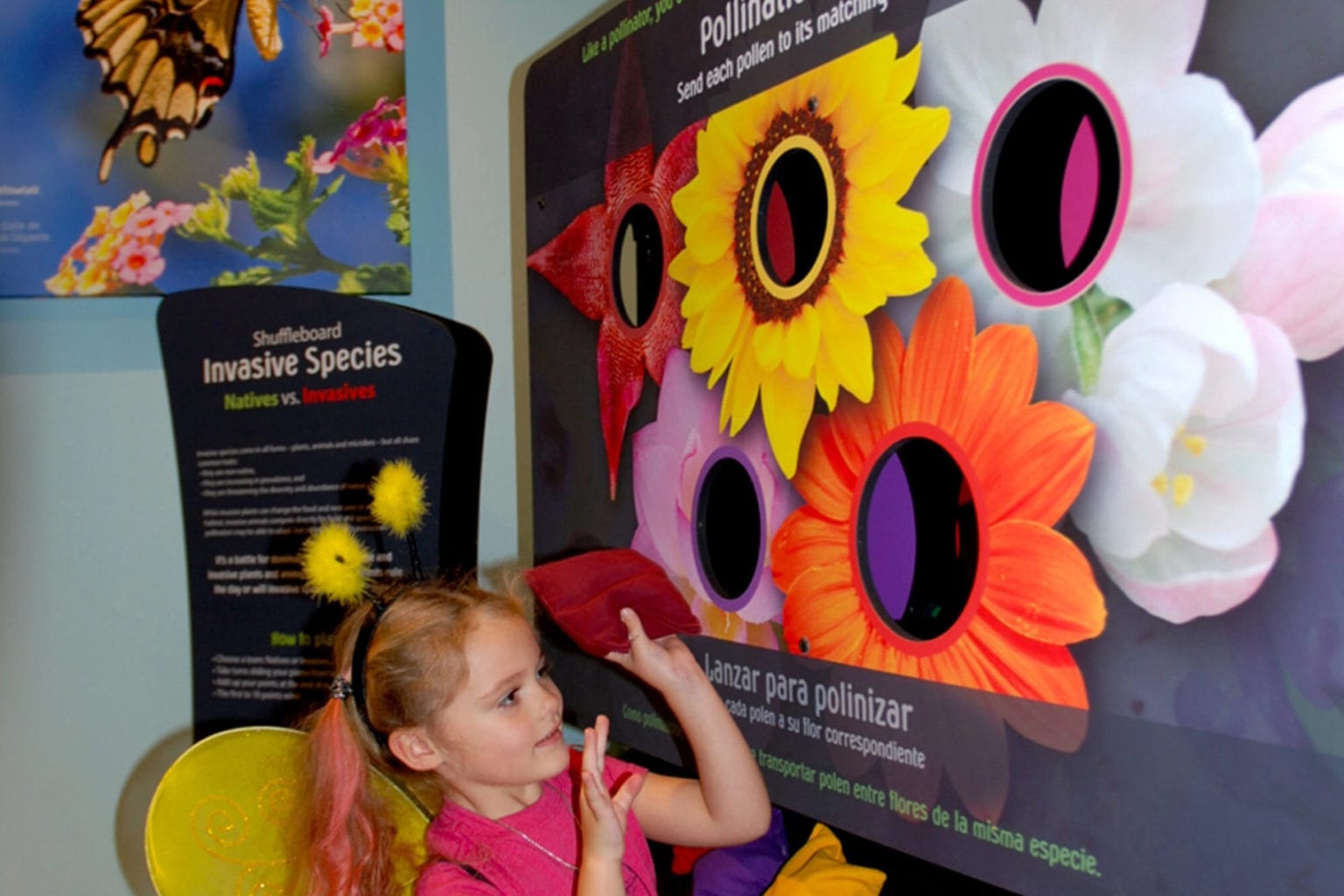 Amazing Pollinators - Go pollinate!