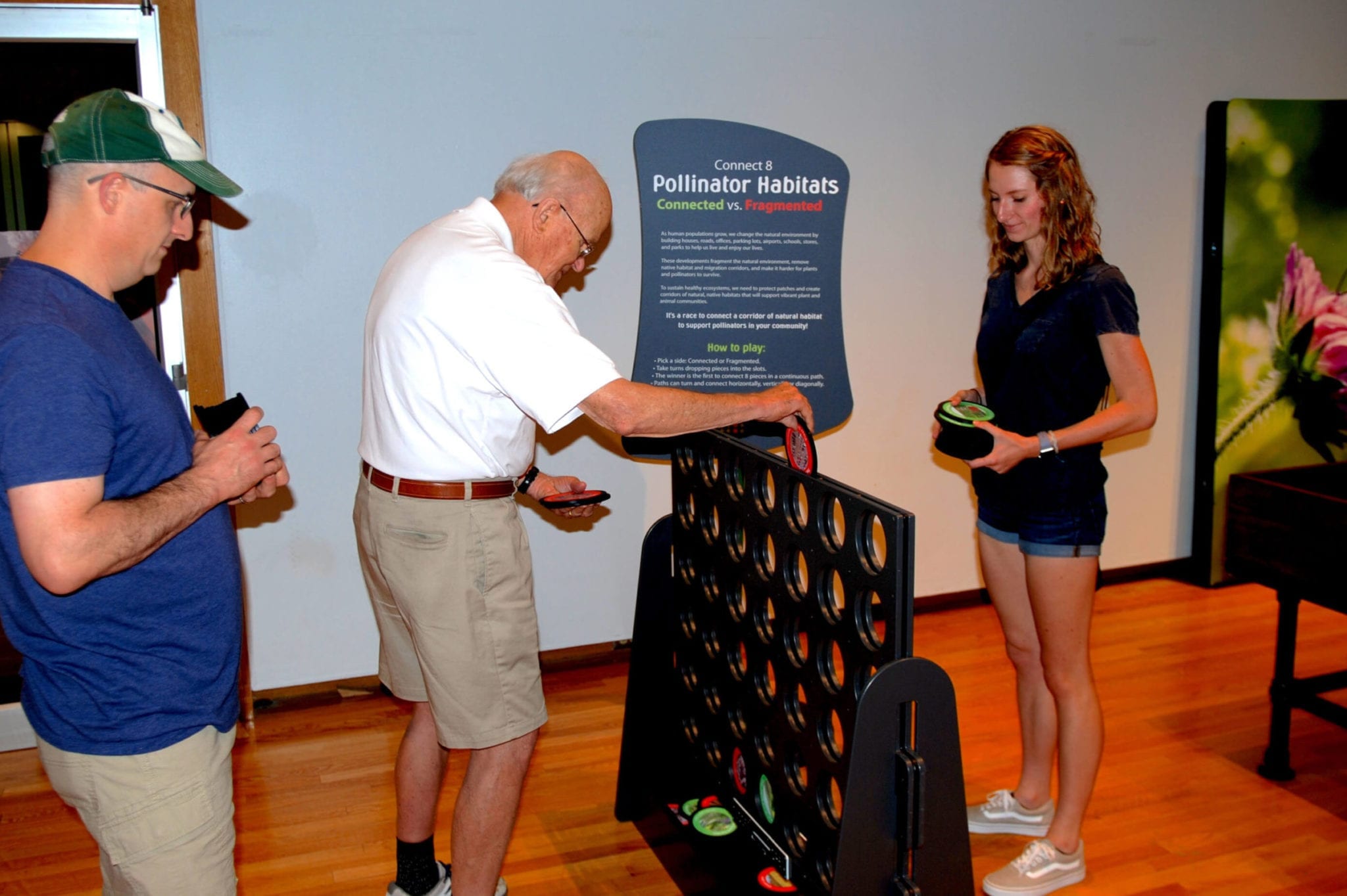 Amazing Pollinators - Go pollinate!