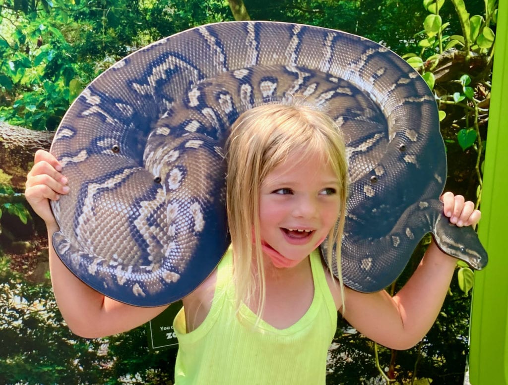 Mission Safari - Captivate, Connect, Conserve