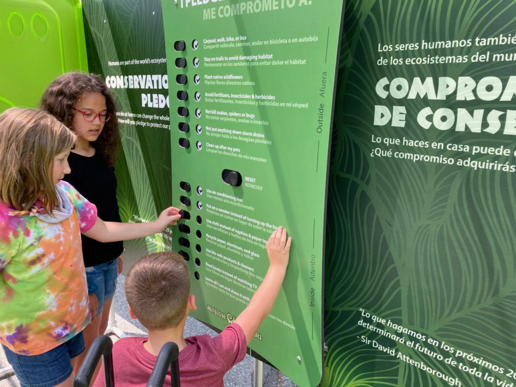 Mission Safari - Captivate, Connect, Conserve