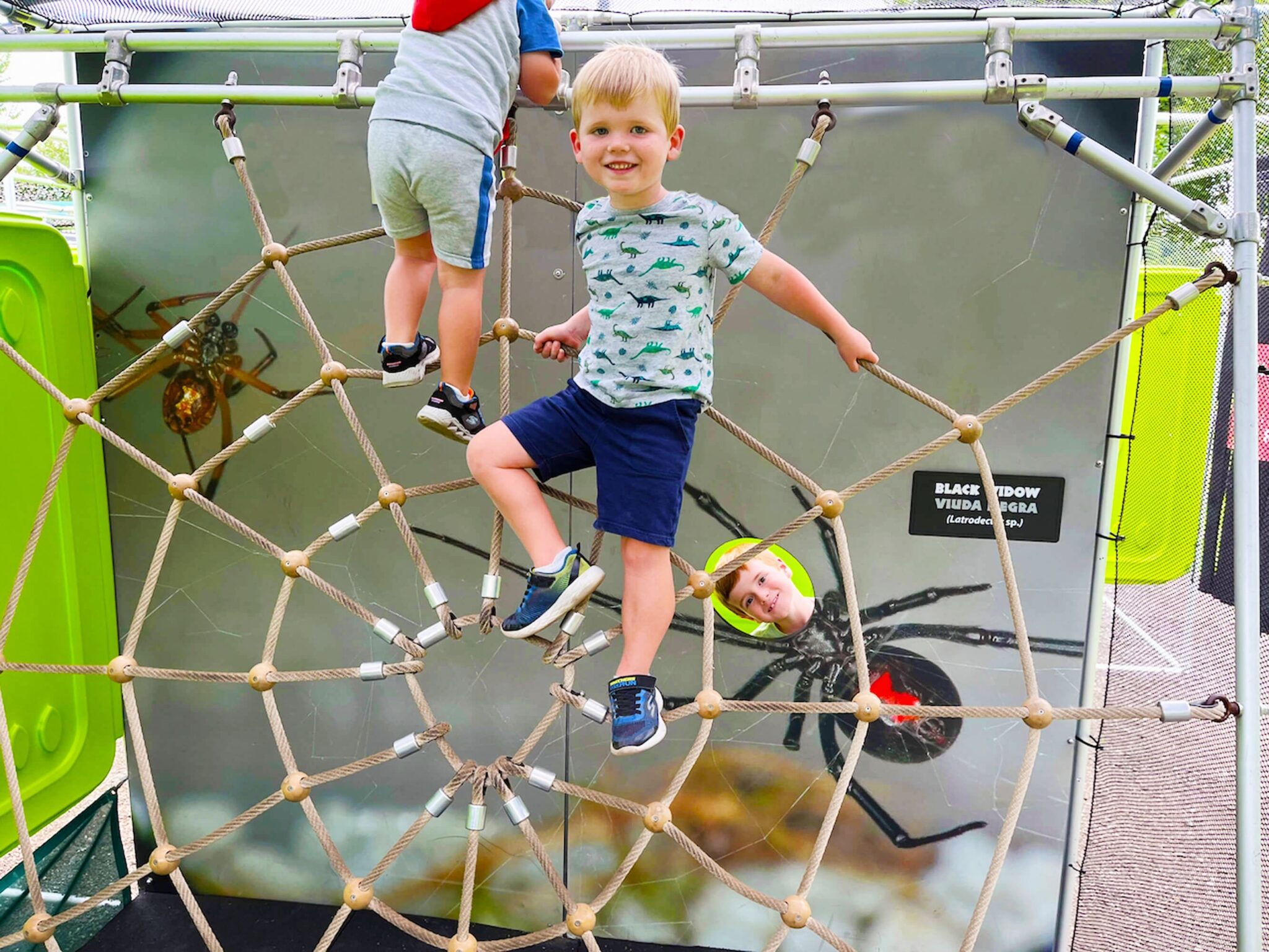 Pollinator Playground - A Sweet Adventure