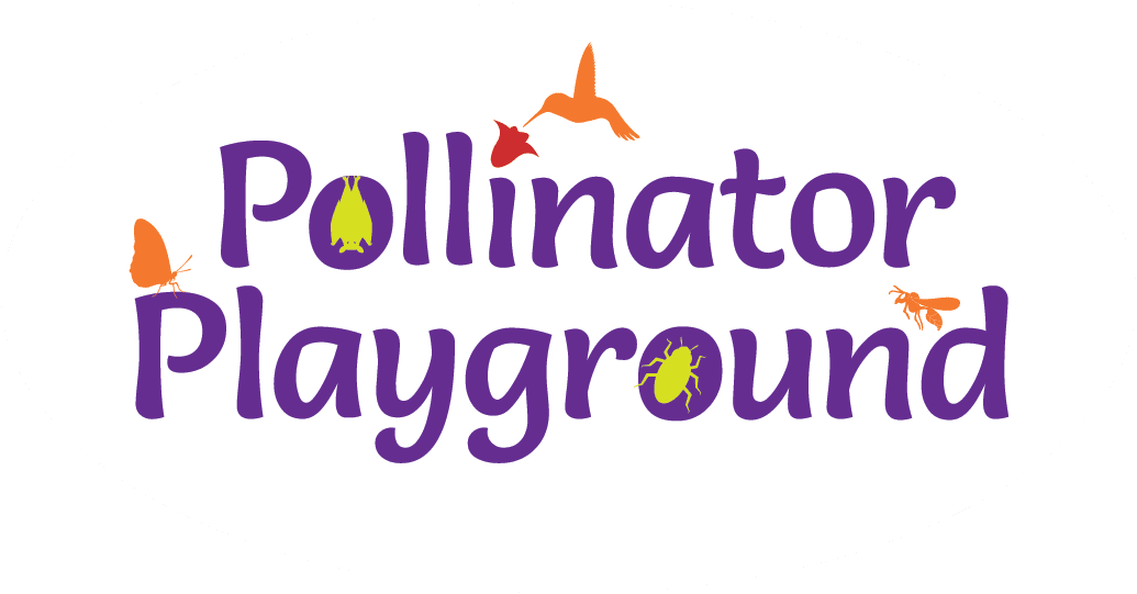 Pollinator Playground - A Sweet Adventure